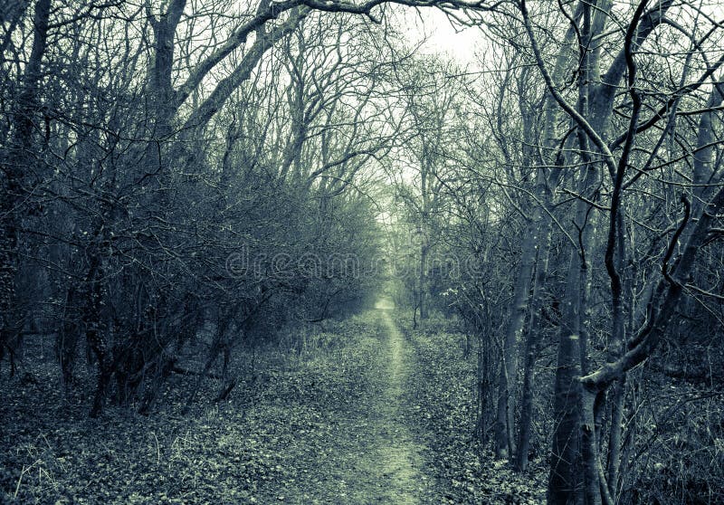 Path in the Dark Scary Park Stock Photo - Image of spring, background ...