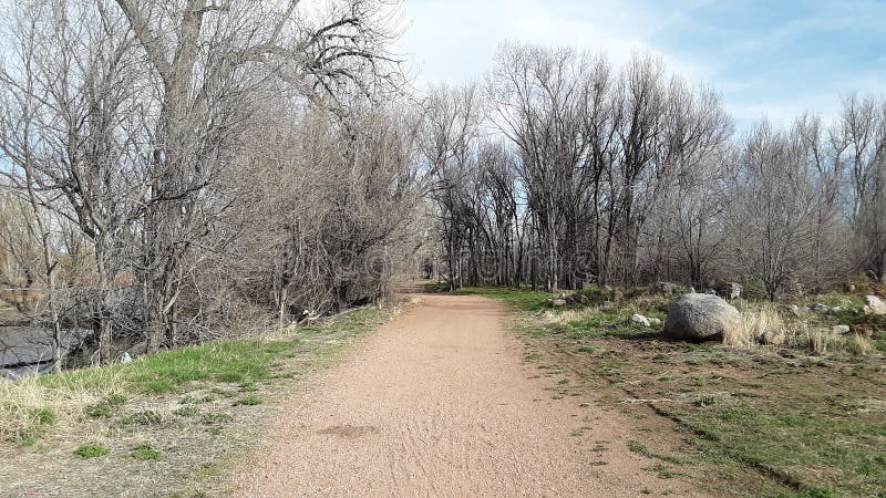 Path through Dead Trees with Green Grass Stock Photo - Image of trees ...