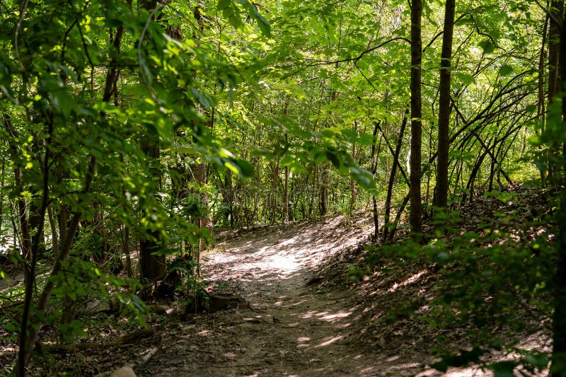 A Path Deep into the Famous Butchart Garden Vancouver Island Stock ...