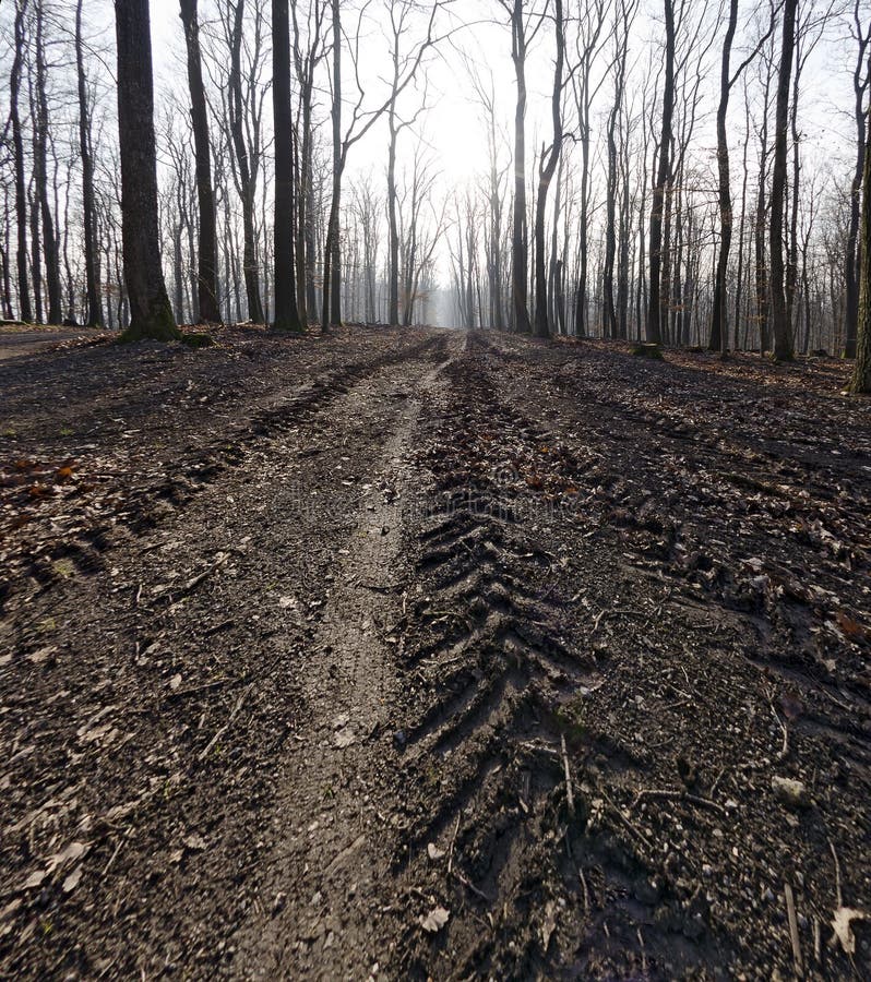 Path with deep tracks stock photo. Image of forest, soil - 36490804