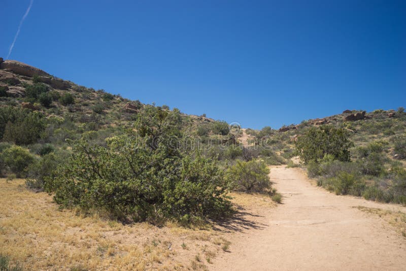 Path through Desert Brush stock photo. Image of empty - 70365406