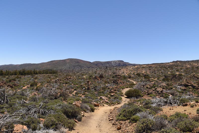 Desertlandscape stock image. Image of teide, path, tenerife - 169984585