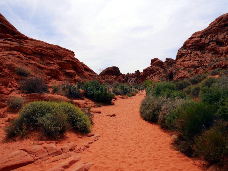Path in Desert stock image. Image of desert, state, nevada - 70324381