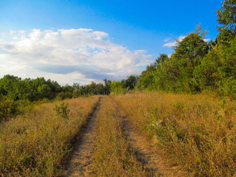 A Path through Deserted Meadows Stock Image - Image of field, pasture ...