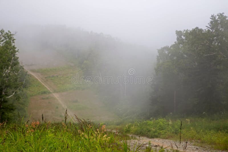 Path Disappearing into the Fog Stock Image - Image of disappearing ...