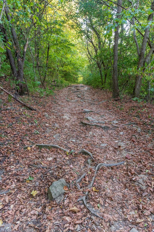 Path through doe run lake stock image. Image of geology - 340998753
