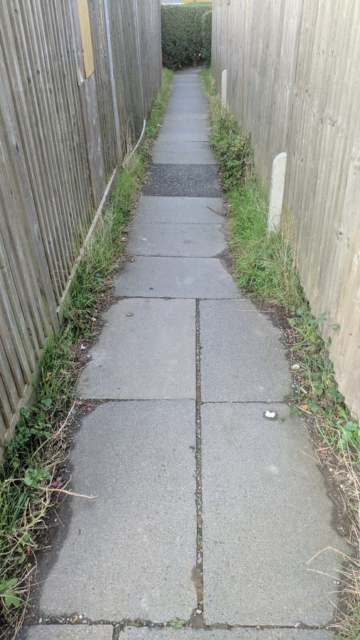 Path down an alley stock photo. Image of alan, grass - 100078618
