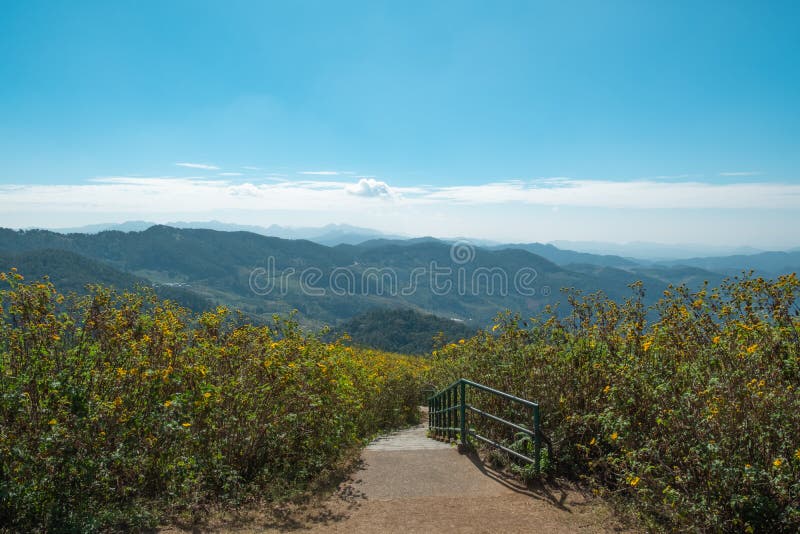 The Path Down the Hill with Flower Fields on Both Sides Stock Image ...