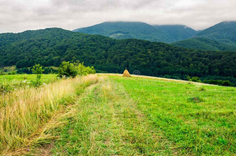 Path Down the Rural Field on Hillside Stock Photo - Image of hayfield ...