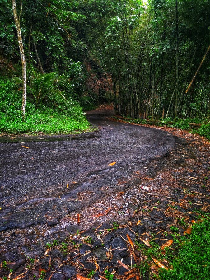 The Path of Downhill and Turning is Lush Stock Image - Image of lawn ...