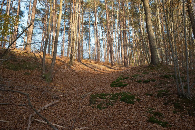Path in the Early Autumn Field with Falling Leafs Stock Photo - Image ...