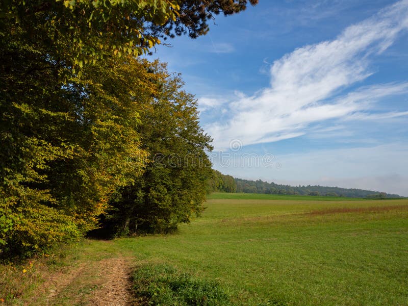 Path on the Edge of the Forest Next To Fields Stock Photo - Image of ...