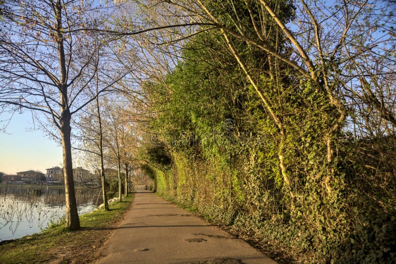 Path by the Edge of a Lake in a Park at Sunset Stock Photo - Image of ...