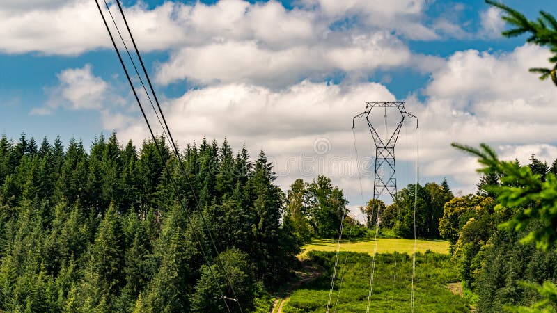 A Path of Electricity Pylons Cut through Trees on a Mountainside Stock ...