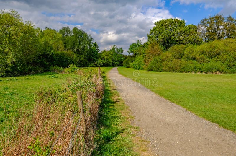 Path in spring countryside stock photo. Image of blossoming - 24061574