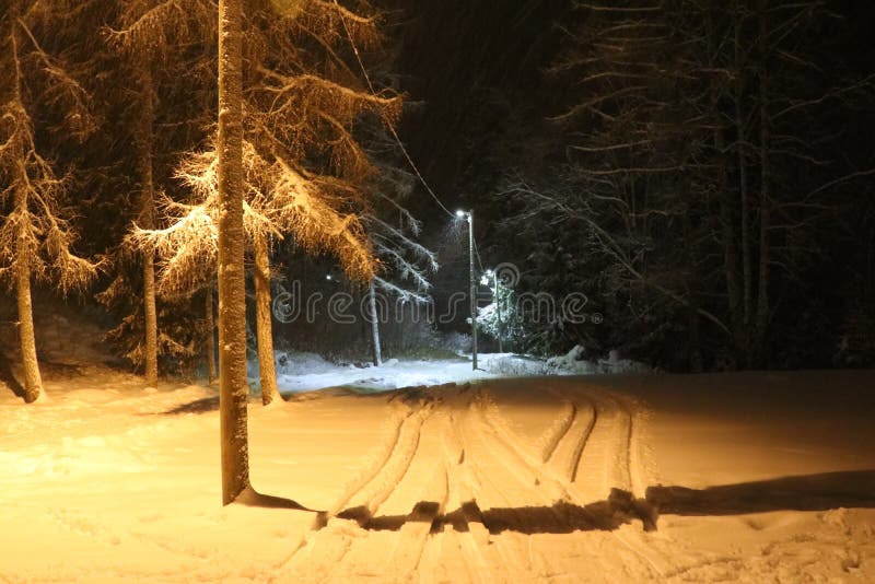 A Path in Snowy Winter during a Blizzard Stock Image - Image of ...