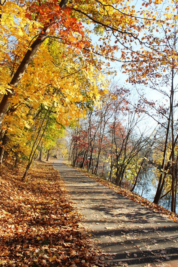 Path in Fall Colored Leaves Tree Stock Image - Image of maple, natural ...