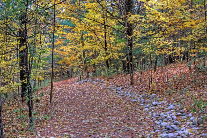 Path in the Fall Forest stock image. Image of footpath - 28284413