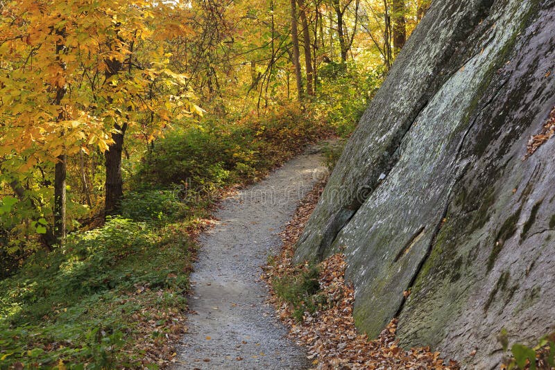 Path in the Fall stock photo. Image of foliage, natural - 30780568