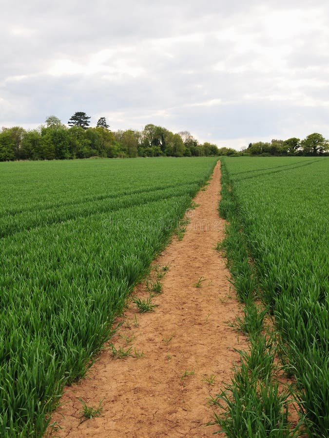Farmland Soil stock photo. Image of country, dirt, beautiful - 25130572