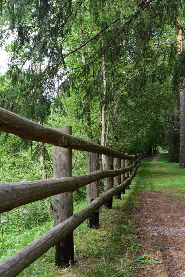 Path fence stock photo. Image of natural, panorama, hiking - 198574642