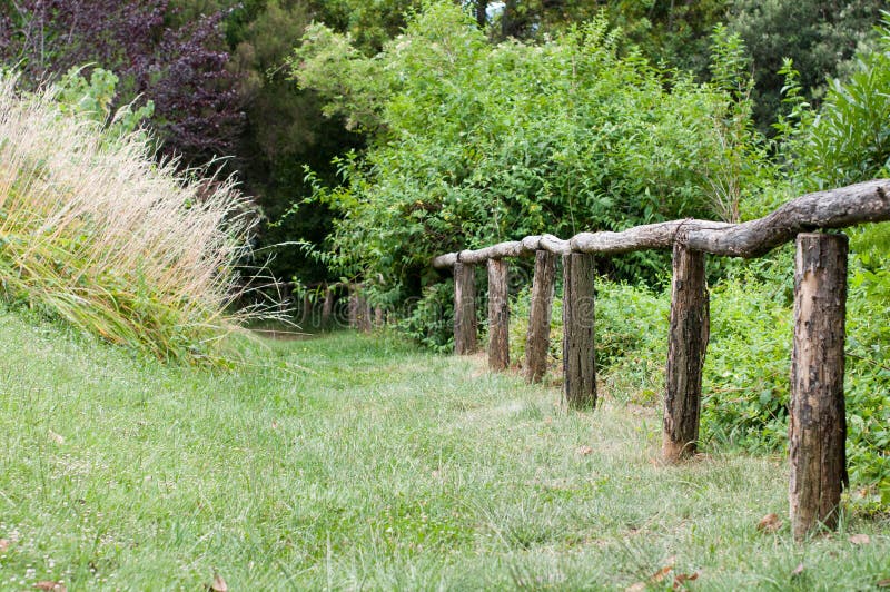Path with fence stock photo. Image of forest, calm, grass - 34493972