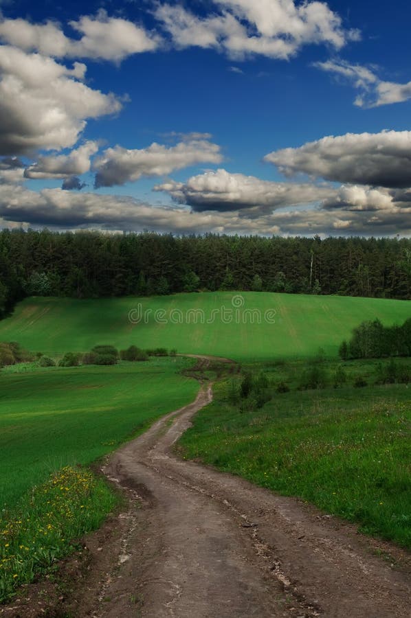 Path through Field stock photo. Image of farm, forest - 14829452