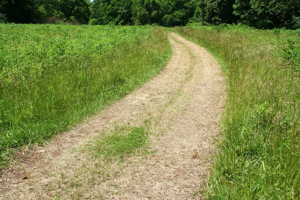Path through field stock image. Image of ground, field - 25154501