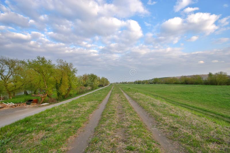 Path in the field stock image. Image of meadow, horizon - 5501801
