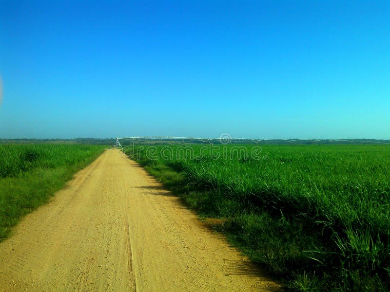 Path through the field stock image. Image of countryside - 98948621