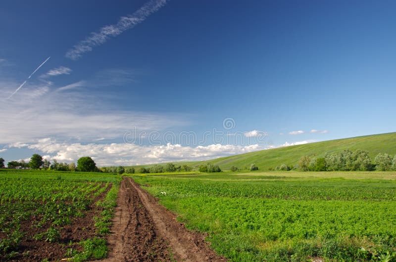 Path through field stock image. Image of country, healthy - 31788187