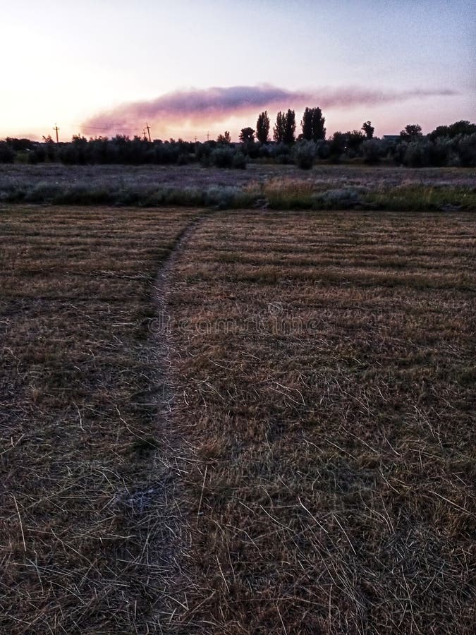 Path in the field stock image. Image of travel, cloud - 191452855