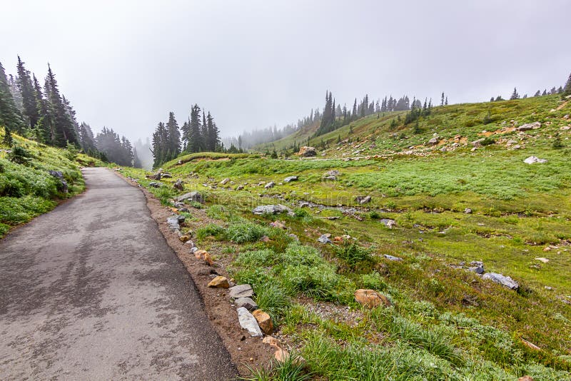 Path through Field and Forest into Fog Stock Photo - Image of morning ...