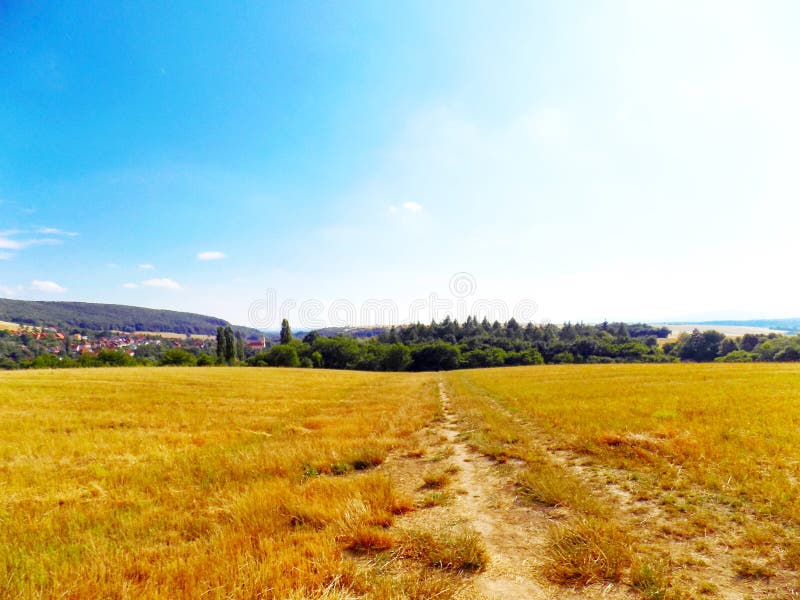 Path on field stock photo. Image of tree, field, infrastructure - 66515536