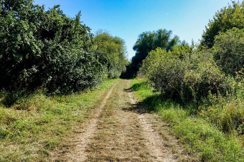 Path in the Field , Image Taken in North Germany, Europe Stock Image ...