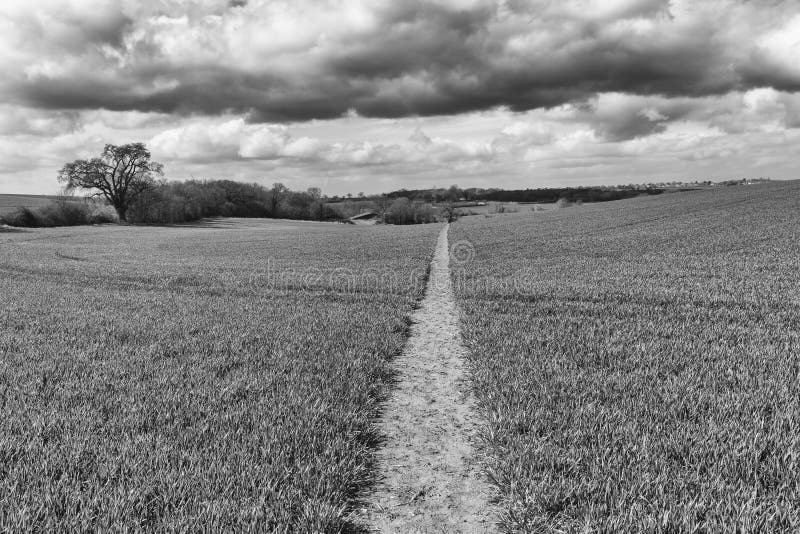 A path through a field stock image. Image of hiking - 129656745