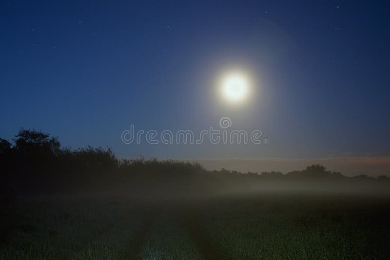 A Path through a Field on a Misty, Spooky Night. with the Moon in the ...