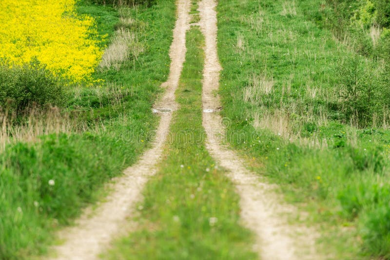 Path between Field stock image. Image of agriculture - 71395031