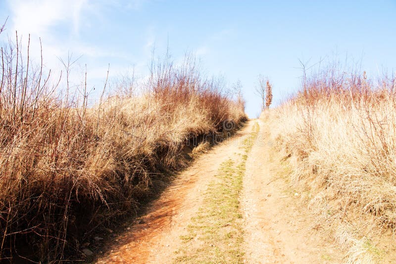 Path through field stock photo. Image of brown, grass - 38326578