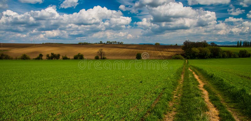 Path Field and Sky stock photo. Image of nature, beautiful - 82397488