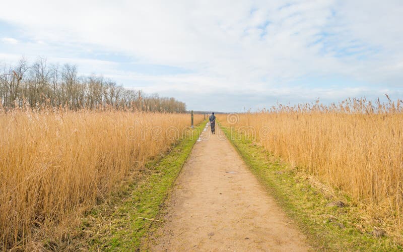 Path through a Field in Winter Stock Image - Image of blue, countryside ...