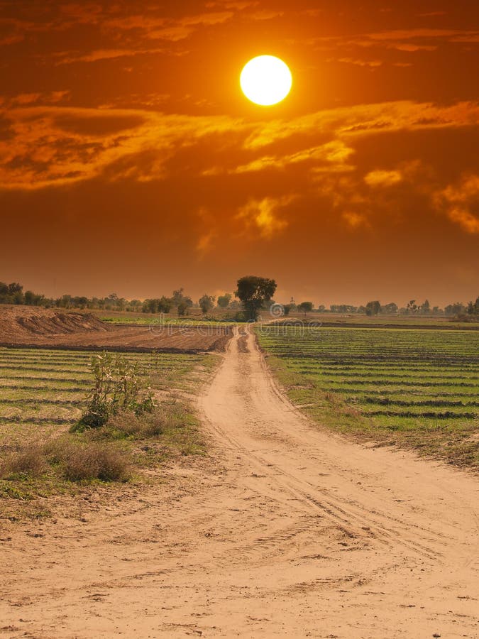 Path in the fields stock photo. Image of farm, peaceful - 2665894