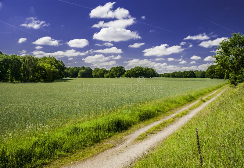 Path between Fields stock image. Image of deep, path - 41132525