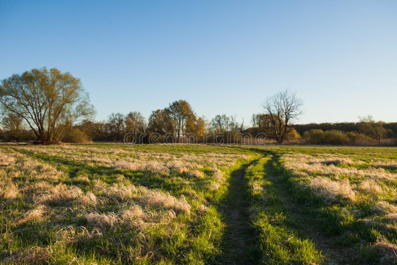 Path through Fields of Grass Stock Image - Image of countryside ...