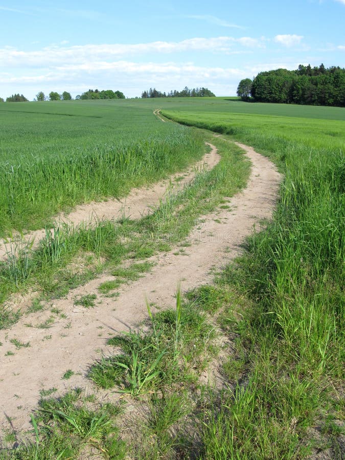 Path in the fields stock image. Image of summer, agronomy - 47152859