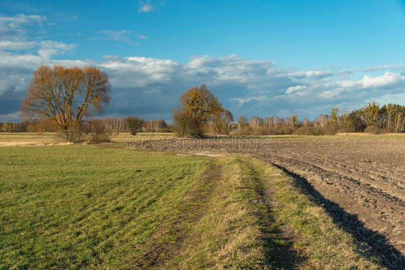 A Path through Fields and Meadows, Trees and Clouds on the Sky Stock ...