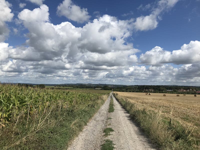 Path in the fields stock photo. Image of farm, peaceful - 2665894