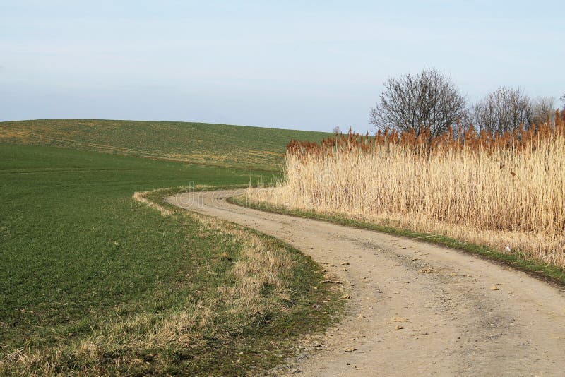 Path in the fields stock photo. Image of farm, peaceful - 2665894