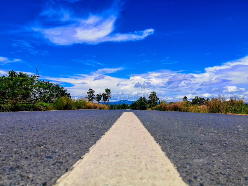 A Path Filled with Beautiful Scenery Stock Image - Image of field ...