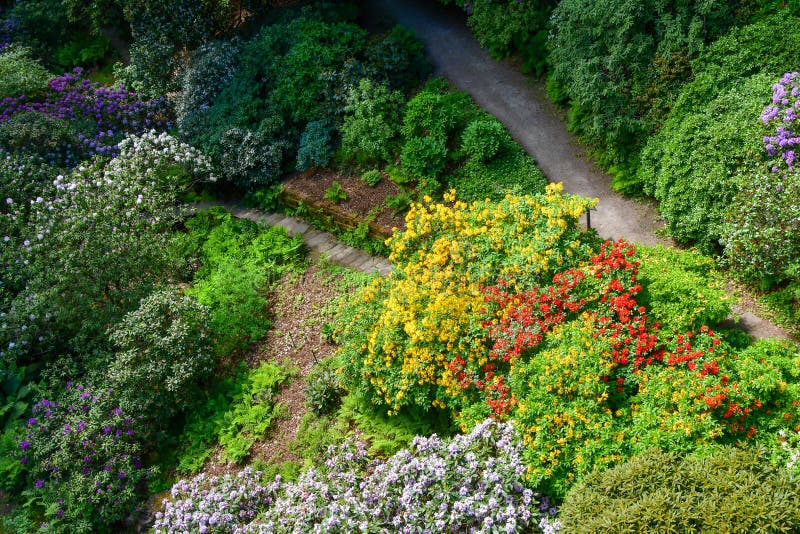 Path among Flower Bushes an Trees in Summer Stock Photo - Image of road ...
